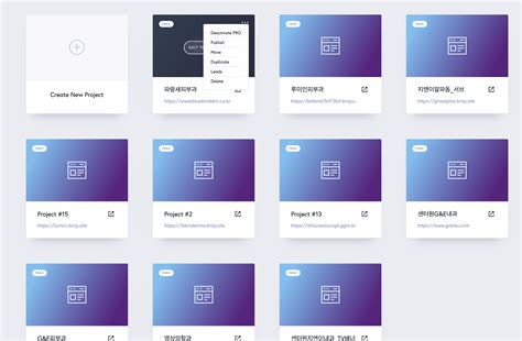 Issue With PRO Agency Version Incorrect Upgrade Prompt Brizy Help Center