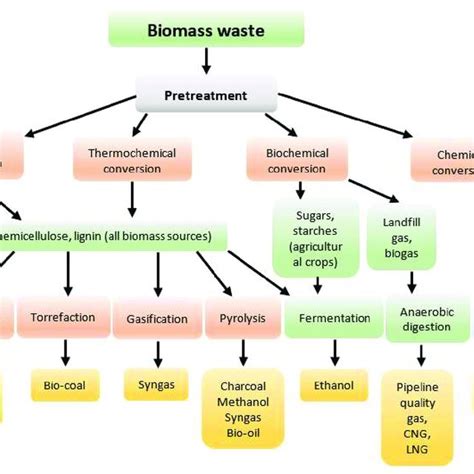 Range Of Chemical Composition Of Different Types Of Biomass 39 Download Scientific Diagram