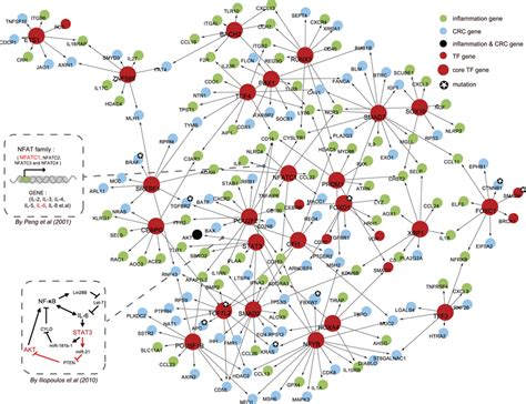 Core Network Constructed Out Of Core Tfs The Sub Network Is Download Scientific Diagram