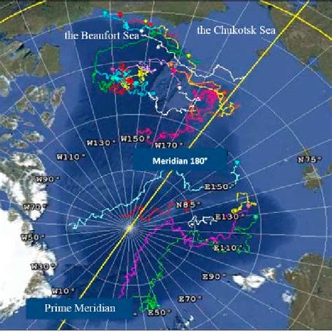 Trajectories Of Ice Temperature Profiling Drifters Deployed In The Download Scientific