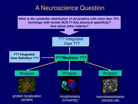 Ppt Model Based Mediation With Domain Maps Powerpoint Presentation Free Download Id2717921