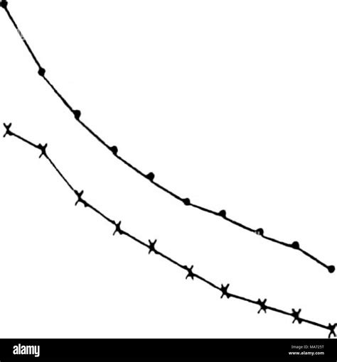 Effects Of Intense Acoustic Noise On Cochlear Function In Infant And