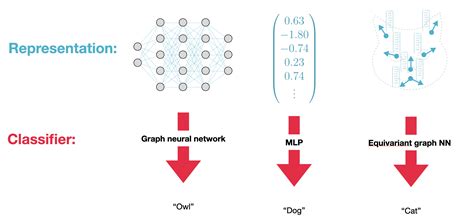 Equivariant Neural Fields Continuous Representations Grounded In Geometry