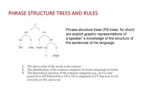 Linguistics Syntax The Sentence Patterns Of Language презентация онлайн