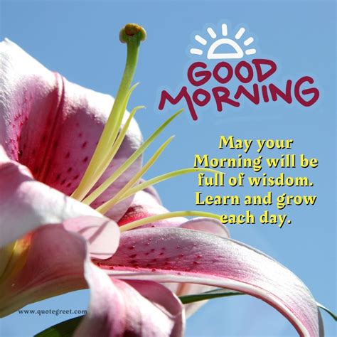Beautiful Good Morning Lily Flower Images Quotes Wishes Messages Quotegreet