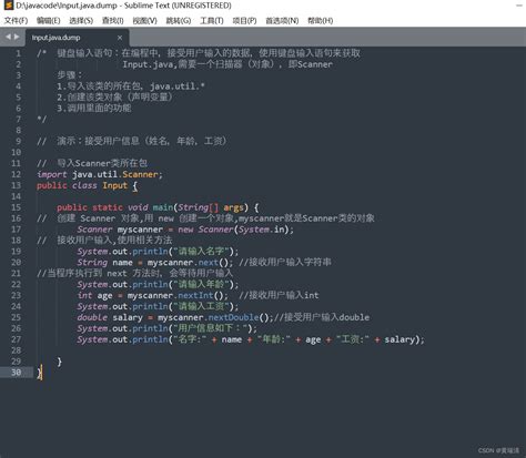 0013 键盘输入语句int Age Myscannernextint Csdn博客
