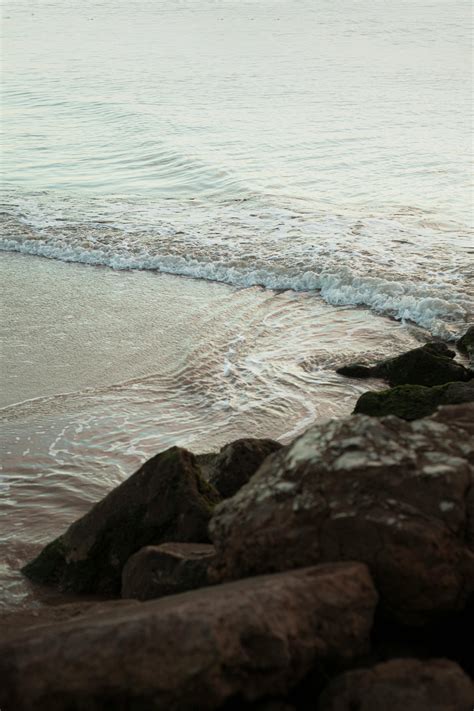 고요한 그림 같은 녹색 녹지 돌 물 물 텍스처 밀물과 썰물 바다 바다 경치 바다 살포 바다의 바위 바위로