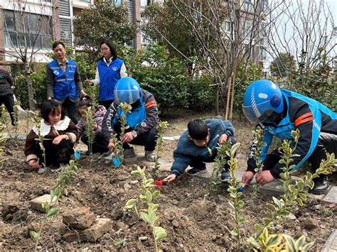 蘇州市甪直鎮組織優勢賦能基層治理冬訓取得新質效 中國網