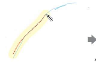 Setting The Drawing Scale Corel Discovery Center