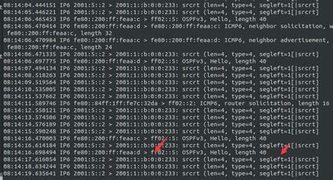 Srv6学习 Lk233s Blog