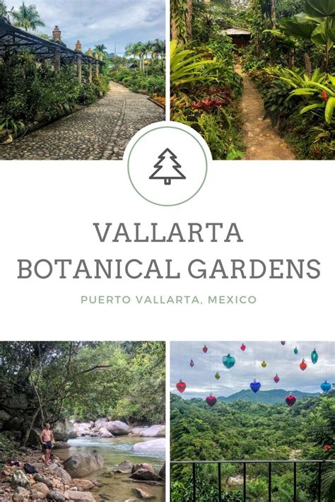 Botanical Gardens Puerto Vallarta Bus Fasci Garden