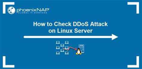 How To Check Ddos Attack On Linux Server Phoenixnap Kb