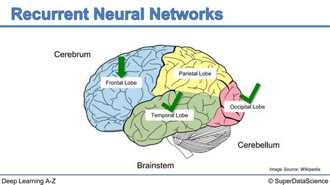 Deep Learning A Z™ Recurrent Neural Networks Rnn The Idea Behind Recurrent Neural Networks