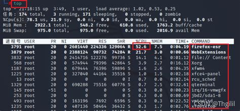 应急响应——linux入侵排查linux 服务器有奇怪的ip访问进程 Csdn博客