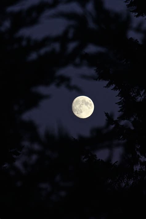 Moon Shutterbug
