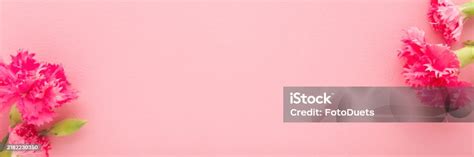 신선한 아름 다운 부드러운 분홍색 카네이션 꽃 머리 밝은 분홍색 테이블 배경 파스텔 색상 와이드 배너 근접 촬영 영감을 주는 텍스트 사랑스러운 인용문 또는 속담을 위한 빈