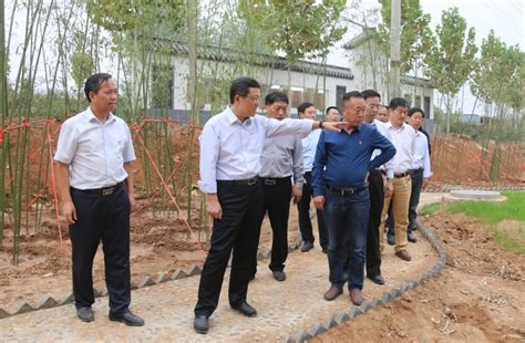 洛阳市副市长王军到寇店镇调研乡村振兴工作情况汇报
