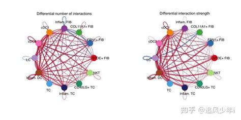 单细胞个性化分析之多样本细胞通讯比较篇 知乎