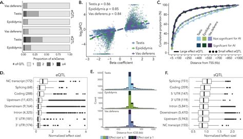 Figure 1 From Molecular Quantitative Trait Loci In Reproductive Tissues
