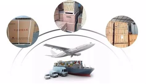 Automatic Dry Palm Dates Pitting Machine Longan Fruit Cherry Plum Seed Remove Cutting Remover