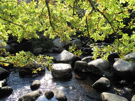 The Upper River Dart Easymalcs Wanderings