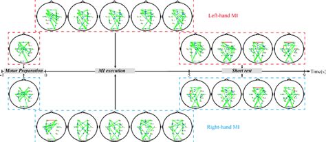 Mi Time Varying Directed Network For The Left And Right Hand Mis The Download Scientific