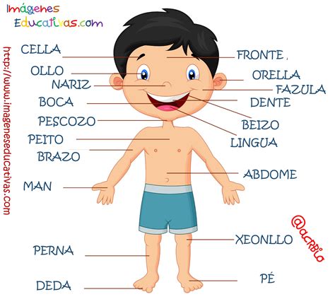 Partes De La U A