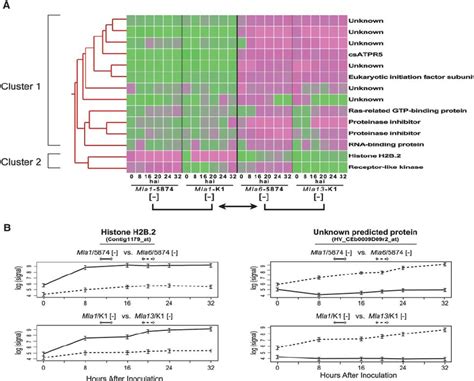 Expression Profiles Of 14 Predicted Genes Differentially Expressed In