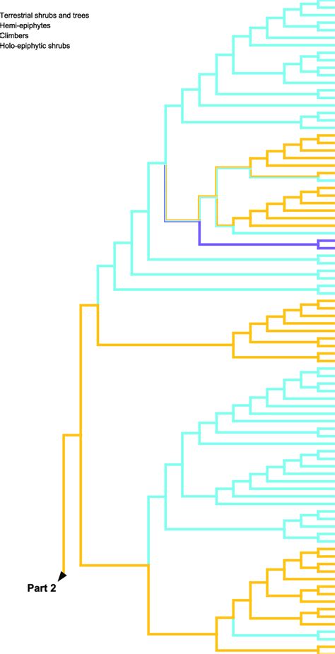 Maximum Parsimony Ancestral State Reconstruction Using Mesquite V310 Download Scientific