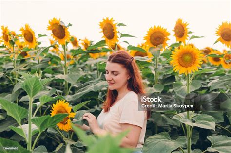 여름날 해바라기 밭에 서있는 행복한 미소 짓는 여성 시간을 수확하십시오 여름 방학 개화기에 대한 스톡 사진 및 기타 이미지 개화기 건강한 생활방식 꽃 나무 Istock