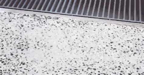 As Requested Album On Imgur