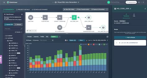 The No Code Snowflake Alternative For Business People Datameer