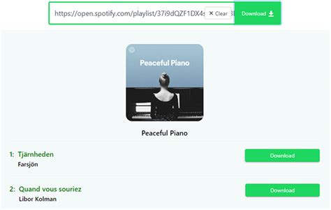 Soundloaders Spotify Downloader Review [latest Guide]