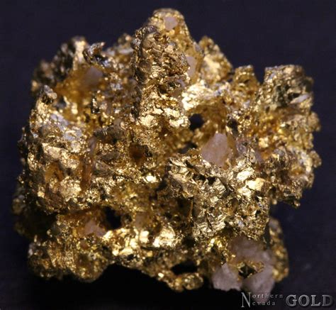 Specimen Gold 5428ml