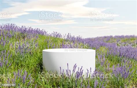 플랫폼 및 라벤더 꽃 필드가있는 자연 연단 배경 제품 디스플레이를위한 구름과 하늘 배경 풍경 장면 3d 렌더링 배경 자연에 대한