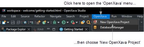OpenXava Tutorial Getting Started