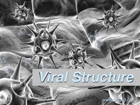 PPT Viral Structure PowerPoint Presentation Free Download ID