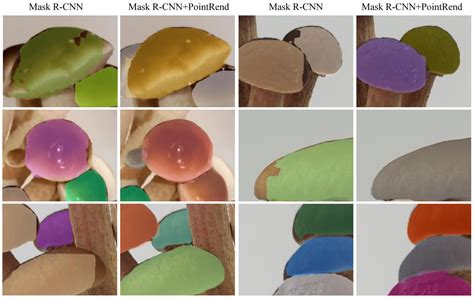 Ac R Cnn Pixelwise Instance Segmentation Model For Agrocybe Cylindracea Cap