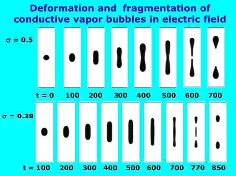 Ppt Lattice Boltzmann Equation Method In Electrohydrodynamic Problems Powerpoint Presentation