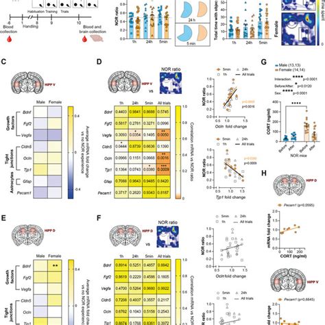 Age Has Minimal Effect On Novel Object Recognition Performance And Download Scientific Diagram