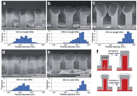 Sample Sem Images And Particle Diameter Distribution Plots Of 200 Nm Download Scientific