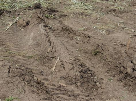 Loosening Compacted Soil How To Improve Soil Compaction