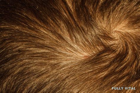 Understanding Hair Whorl A Key To Hair Growth