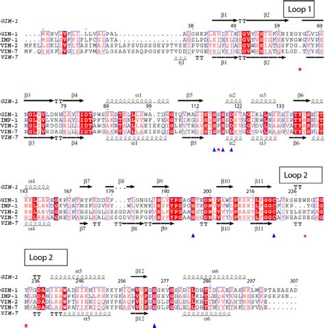 Sequence Alignment And Secondary Structure Elements Of Gim 1 Compared