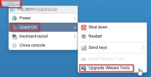 No Mouse Cursor In VMware VSphere 6 5 Console