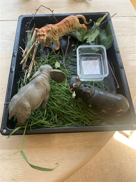 Make Your Own Jungle Netley Primary Babe