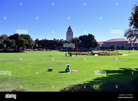 Stanford California Usa The Grassy Oval On The Campus Of Stanford