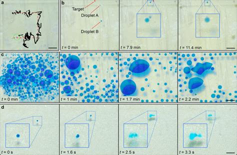 Programmable Droplet Microfluidics Based On Machine Learning And