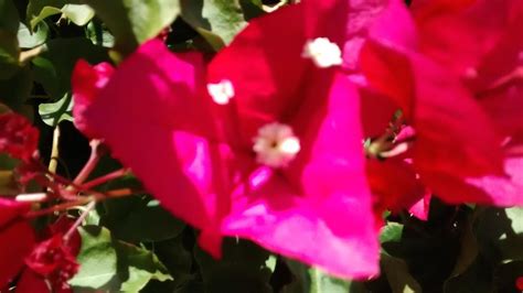 Motorola Moto E Review Flawed Affordability