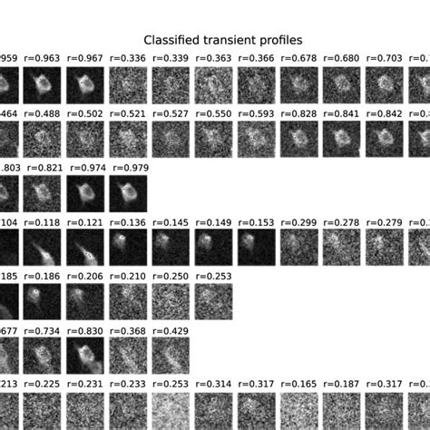 Example Classified Transient Profiles For A Single Source From Mouse Download Scientific